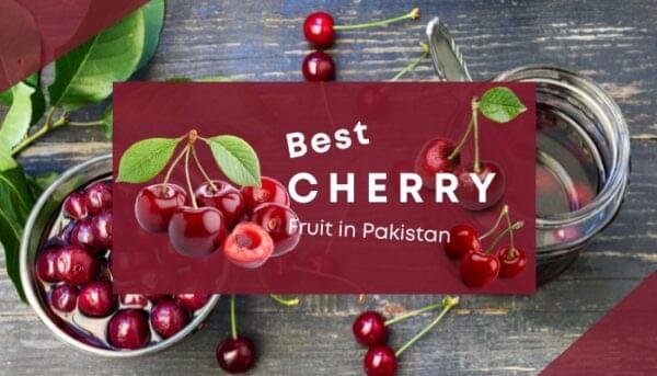 Buy Fresh Cherry Fruit In Pakistan | Freshcherry.pk
